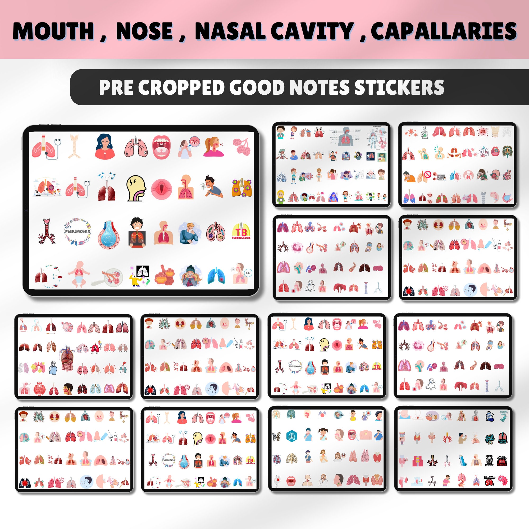 285+ Respiratory System Sticker Bundle | Goodnotes Stickers | Pre ...