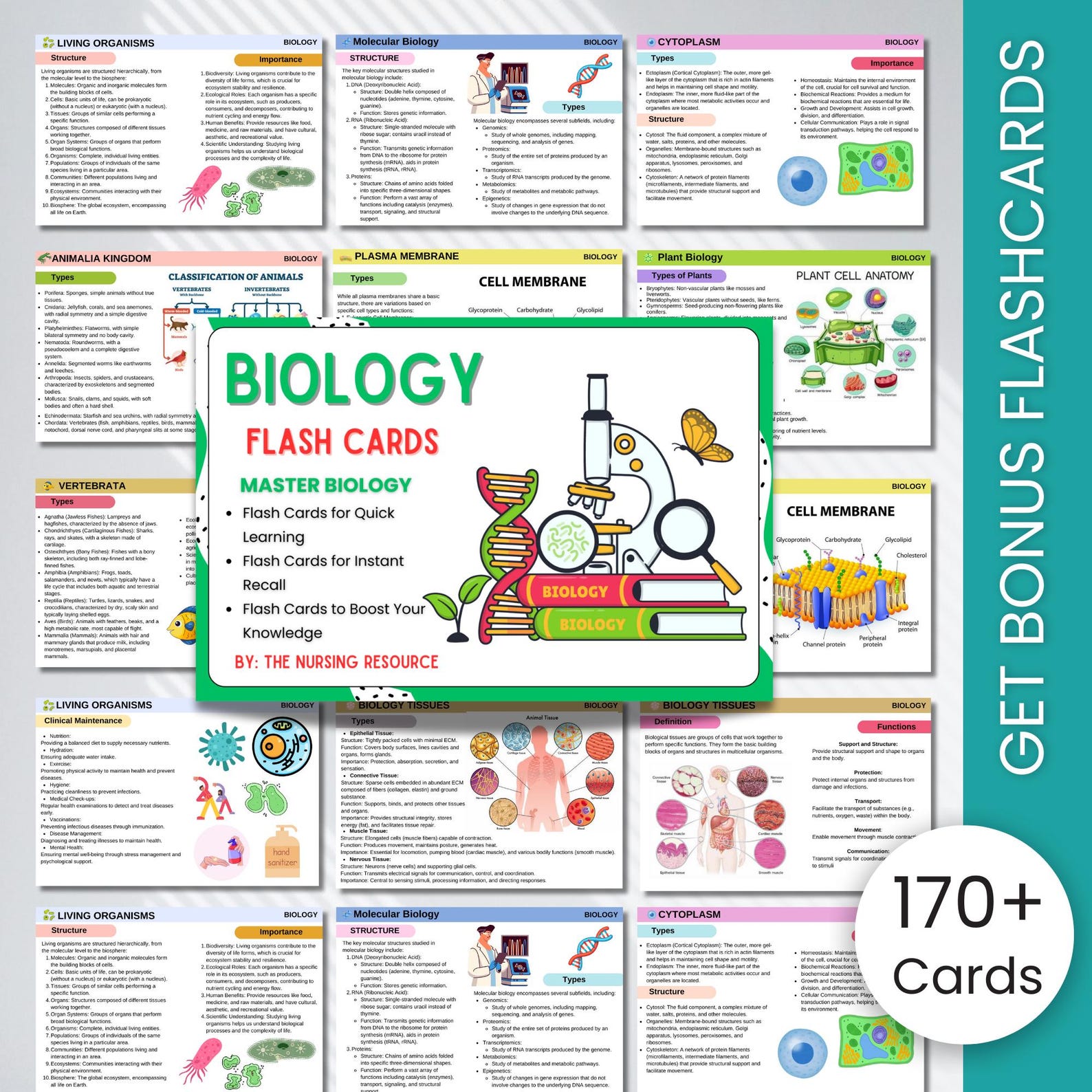 Microbiology Notes Fully Hyperlinked With Flashcards and Stickers ...