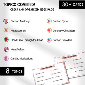 Cardiac Anatomy Flashcards | Cardiovascular System | Heart Anatomy ...