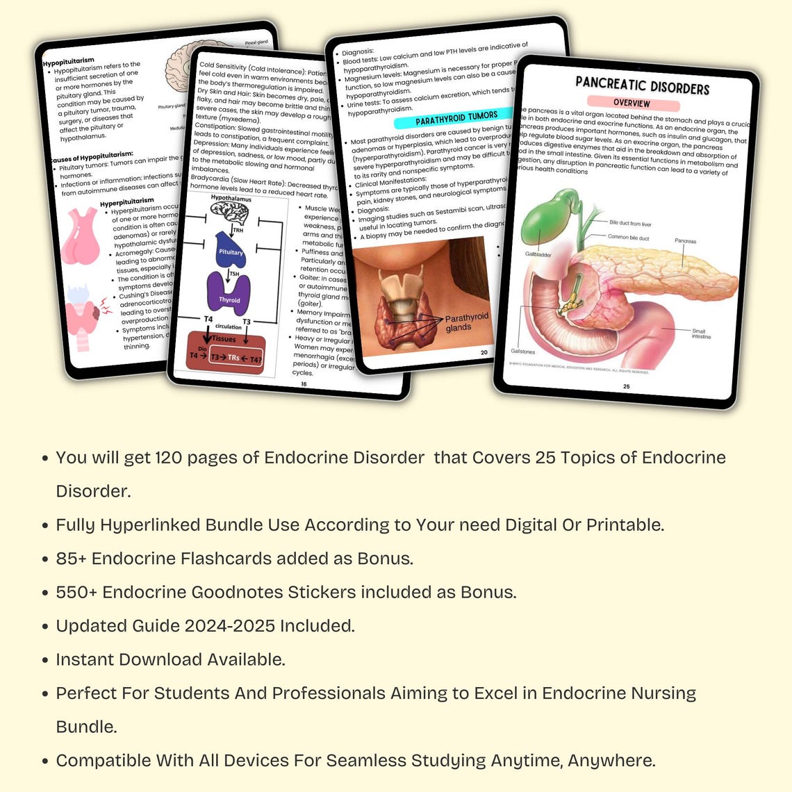 Endocrine Notes | Endocrine System Disorders | Nursing Bundle | PDF - Etsy