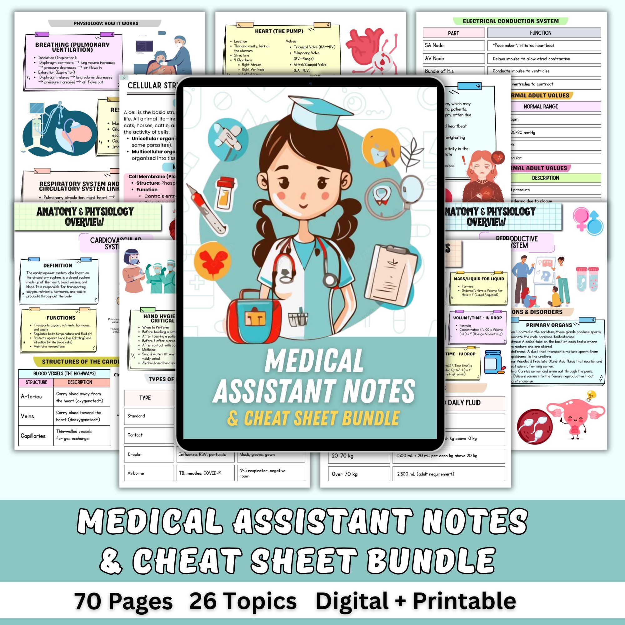 Medical Assistant Notes & Cheat Sheet Bundle | Nursing Notes | Digital ...