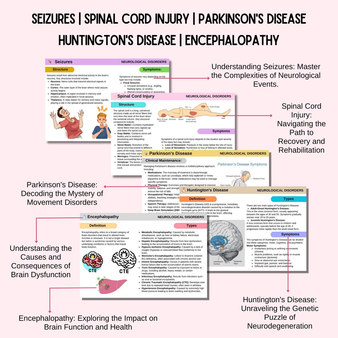 Neurological Disorders Flashcards | Neuro Study Guide | Neuro Anatomy ...