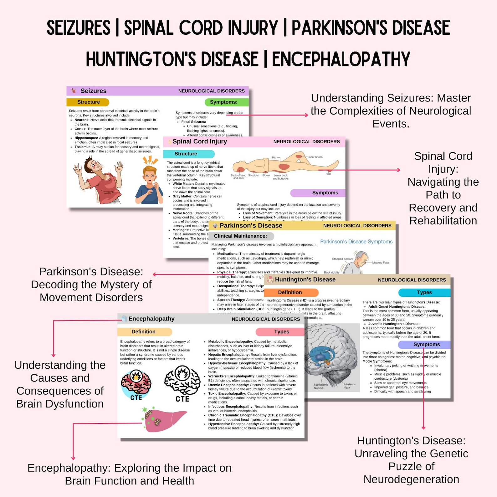 Neurological Disorders Flashcards | Neuro Study Guide | Neuro Anatomy ...