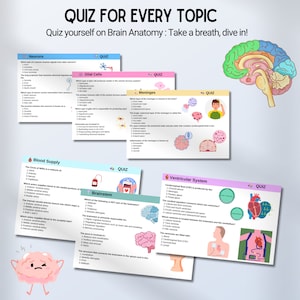 Anatomy of A Brain Flashcards | Brain Anatomy | Anatomy Notes | Nursing ...