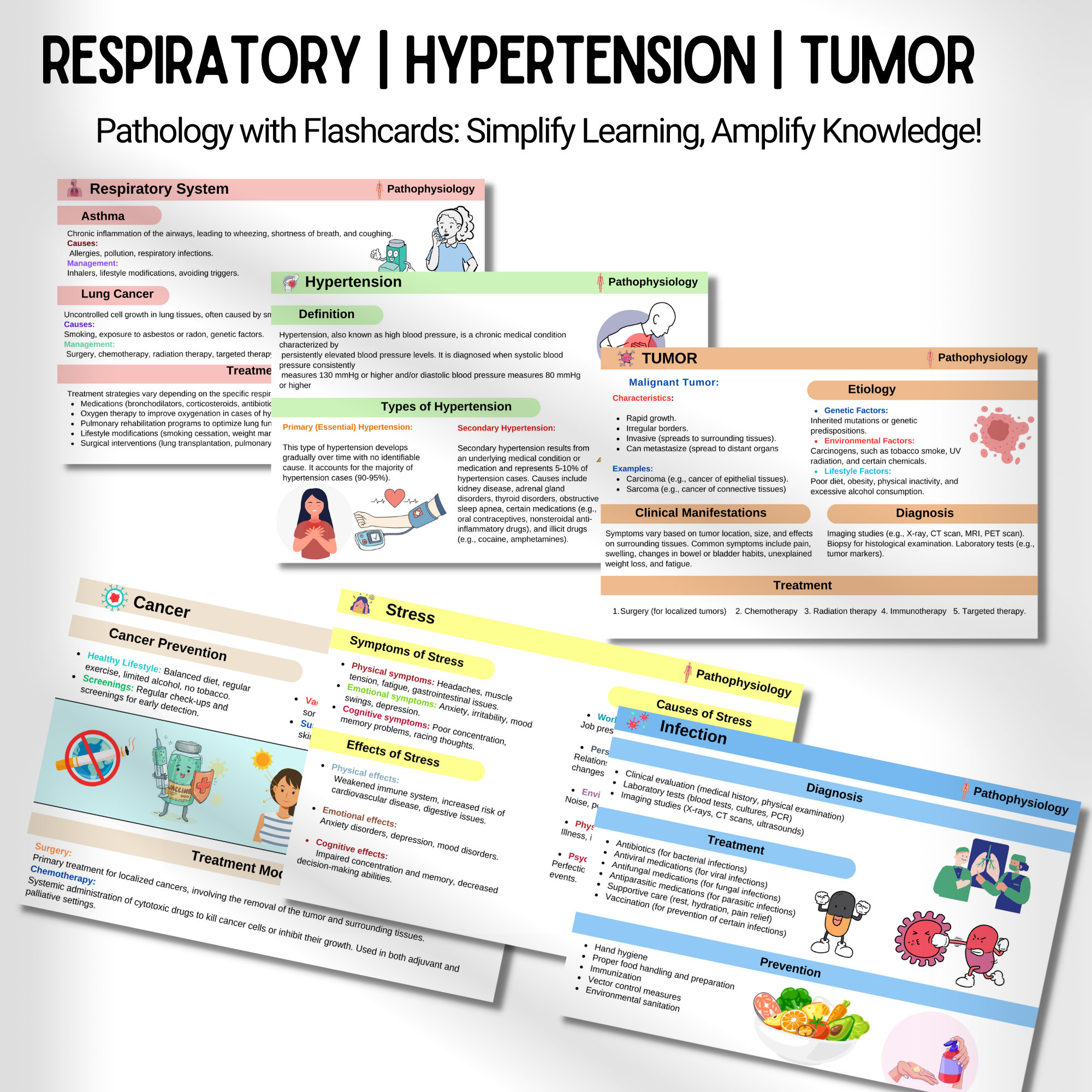 100+ Pathophysiology Flashcards | Pathophysiology Study Guide ...