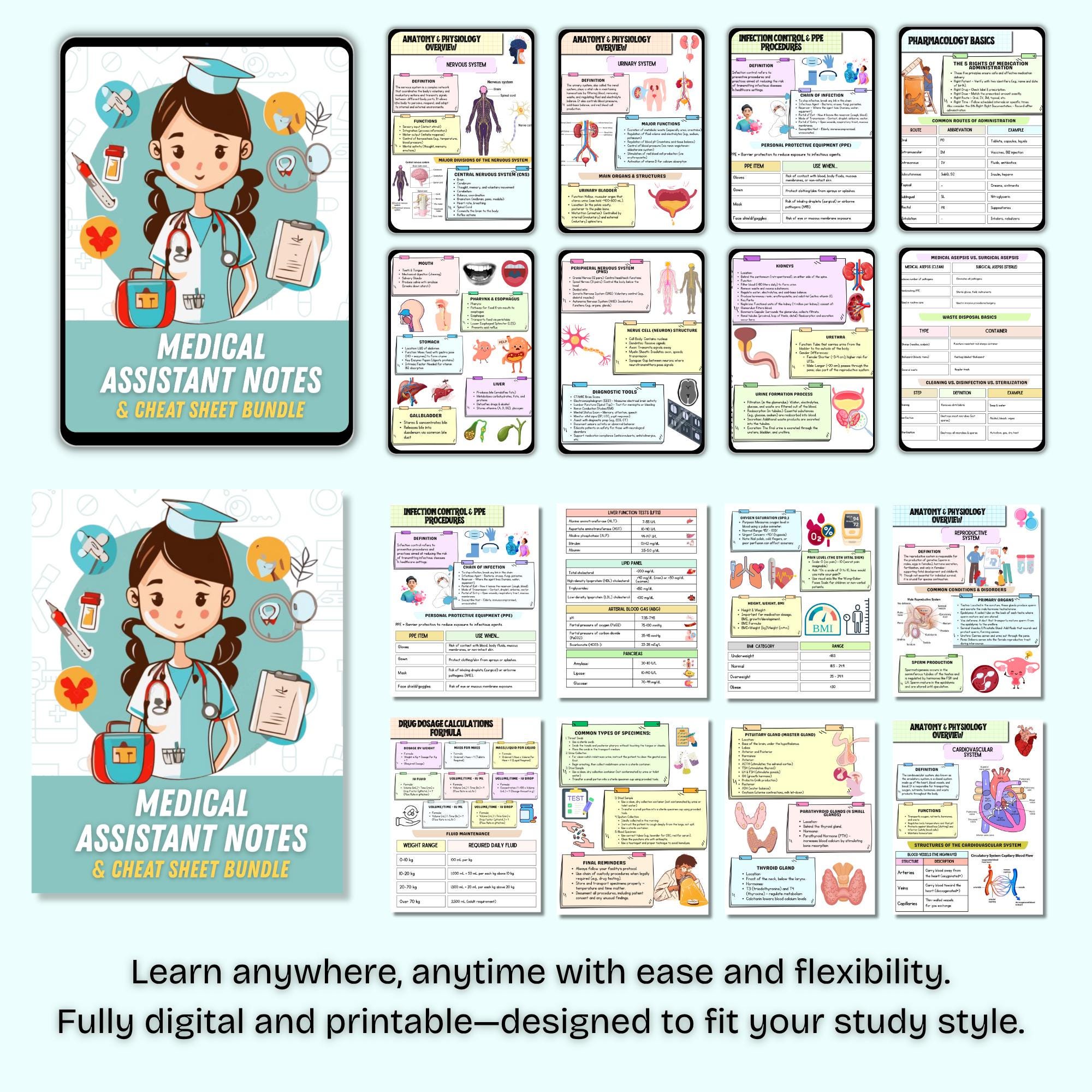 Medical Assistant Notes & Cheat Sheet Bundle | Nursing Notes | Digital ...