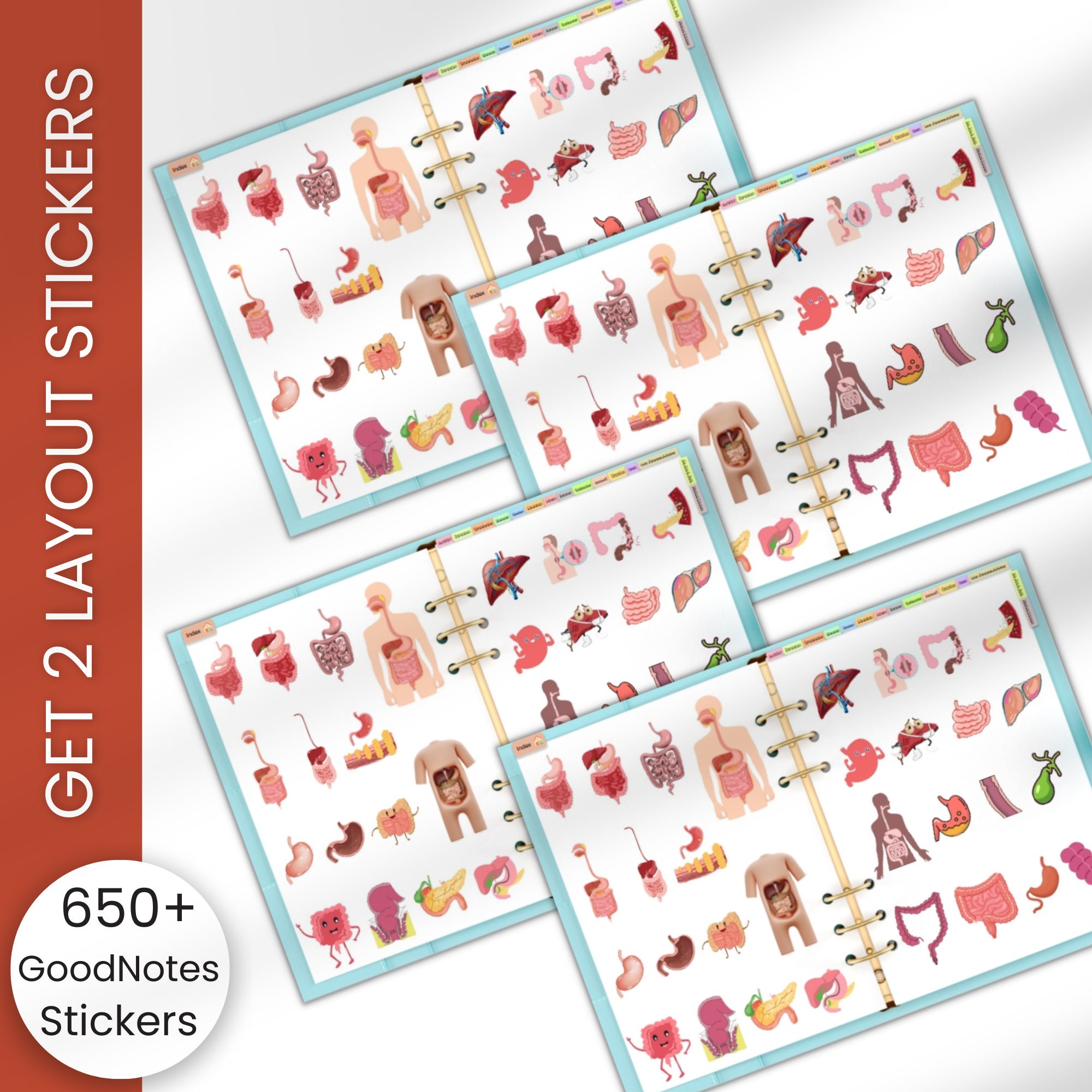 Anatomy & Biology Goodnotes Stickers | Pre-cropped Human Body Stickers ...