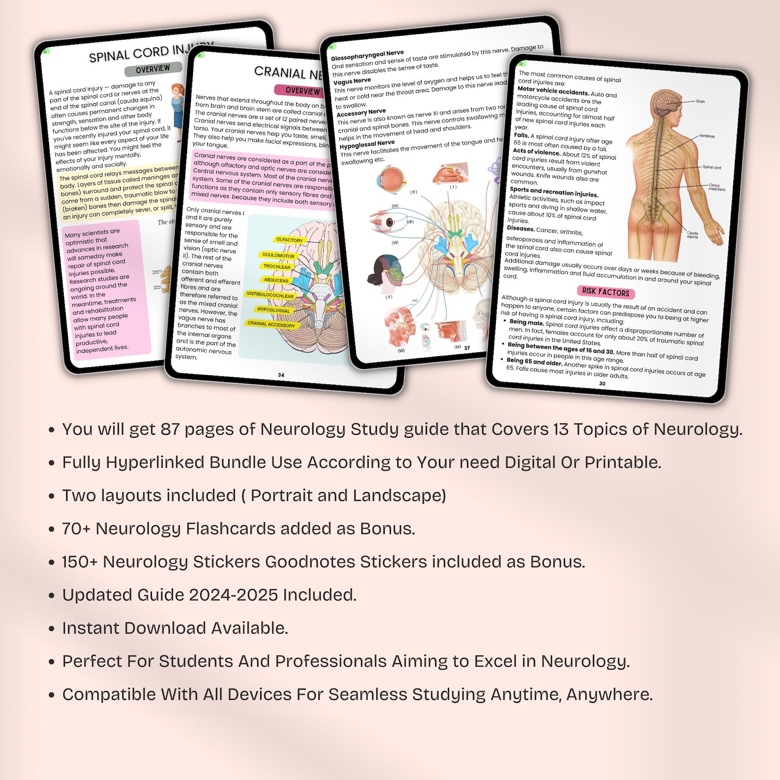 Neurology Study Guide | Neuro Anatomy | Neurological System | Brain ...