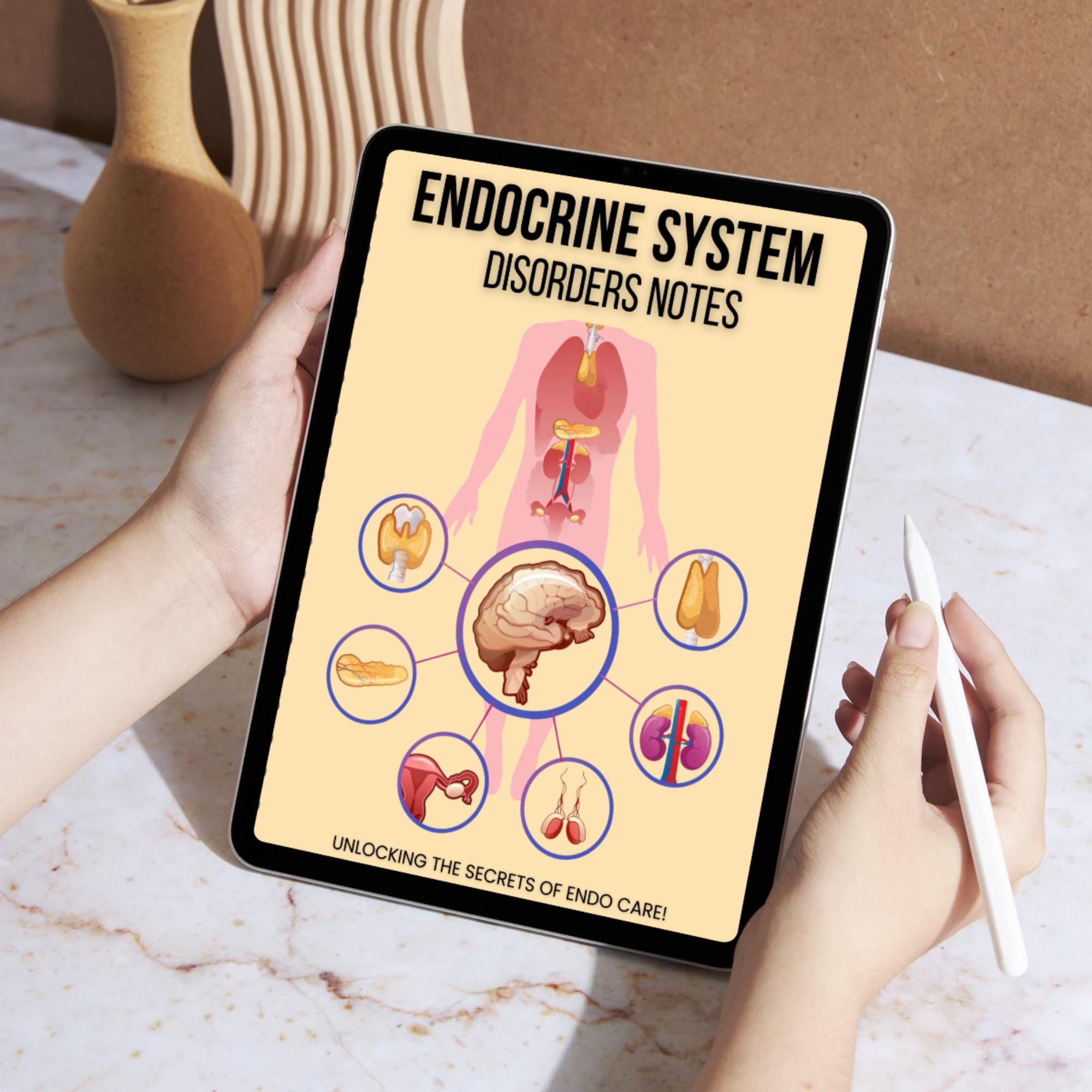 Endocrine Notes | Endocrine System Disorders | Nursing Bundle | PDF - Etsy
