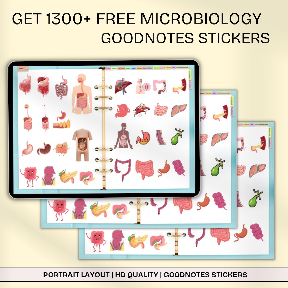 Microbiology Study Guide | Fully Hyperlinked With Flashcards and ...