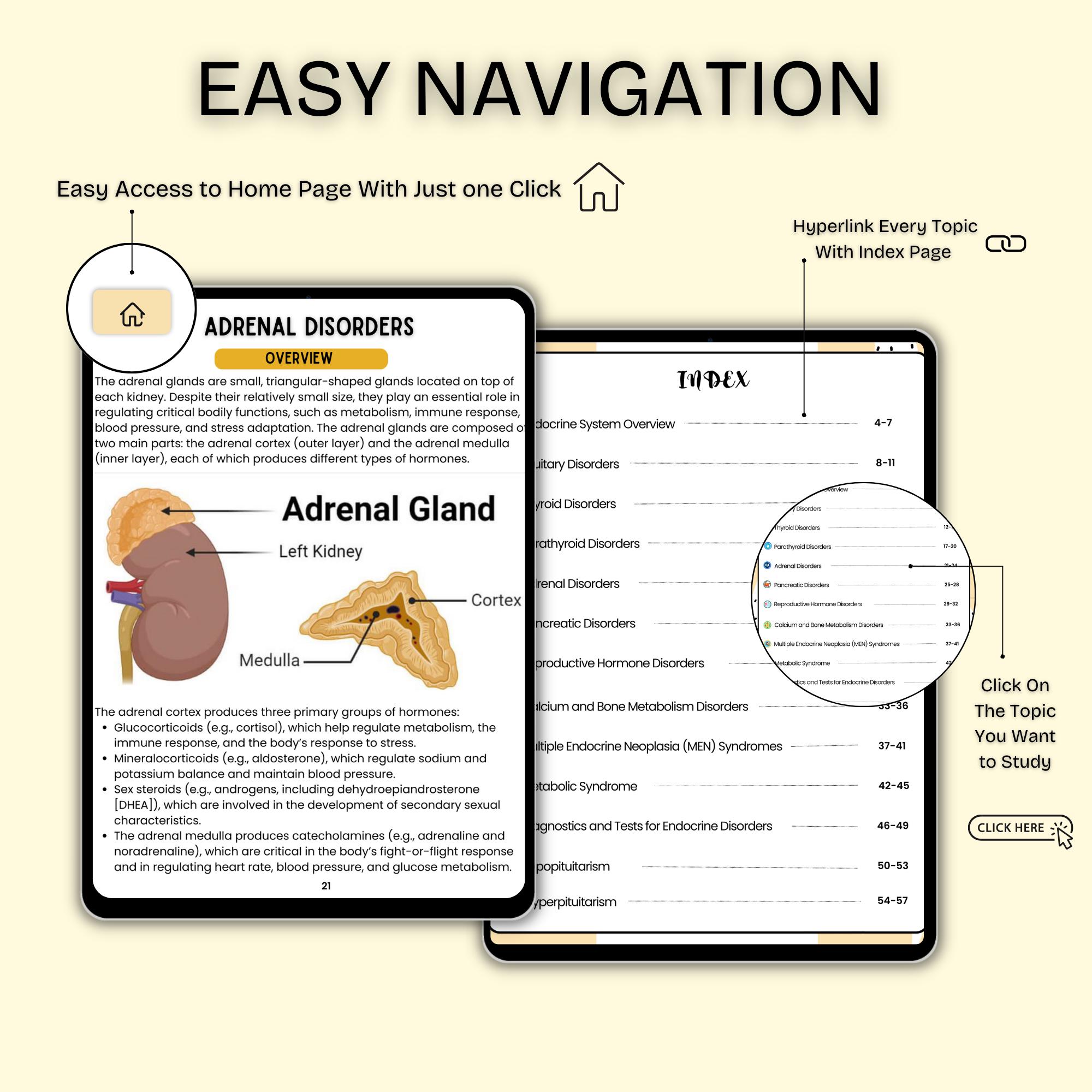 Endocrine Notes | Endocrine System Disorders | Nursing Bundle | PDF - Etsy