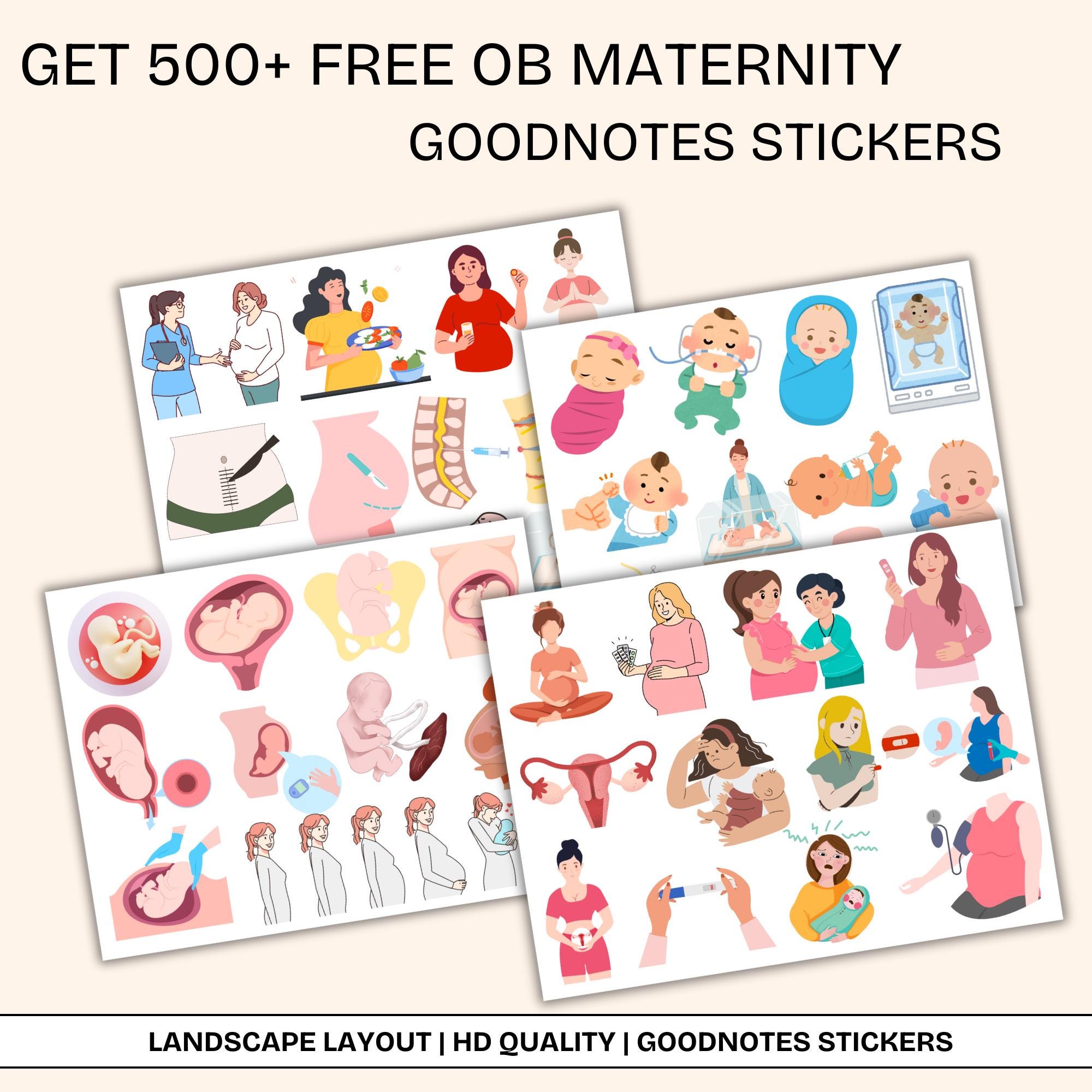 Maternity Nursing Notes & Flashcards | OB Nursing | Labor and Delivery ...