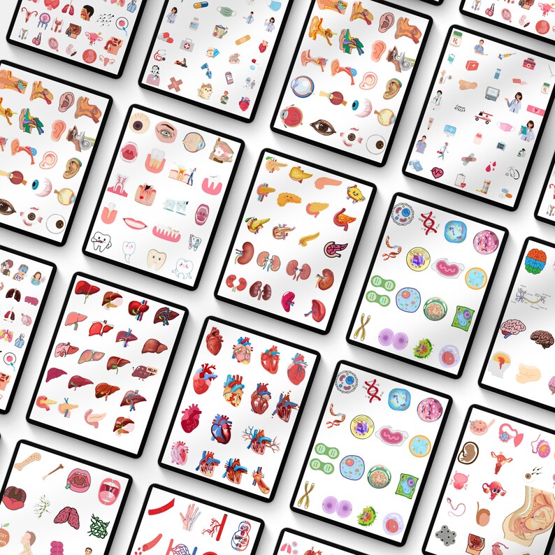 Anatomy & Biology Goodnotes Stickers | Pre-cropped Human Body Stickers ...