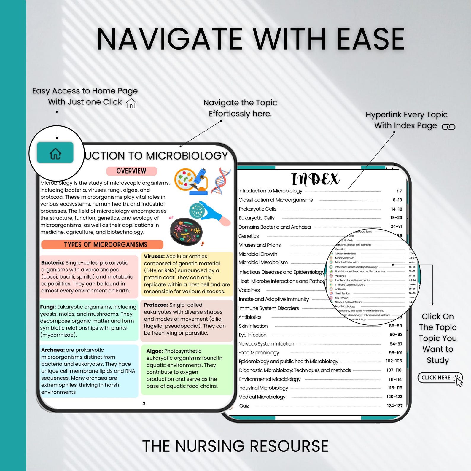 Microbiology Notes Fully Hyperlinked With Flashcards and Stickers ...