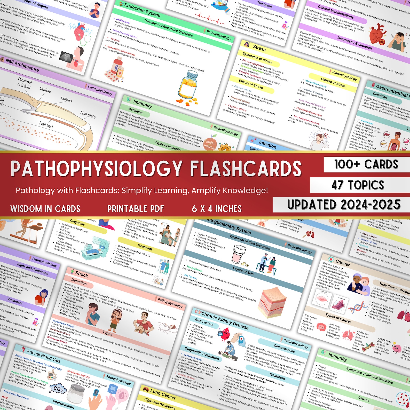 100+ Pathophysiology Flashcards | Pathophysiology Study Guide ...