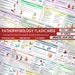 100+ Pathophysiology Flashcards | Pathophysiology Study Guide ...
