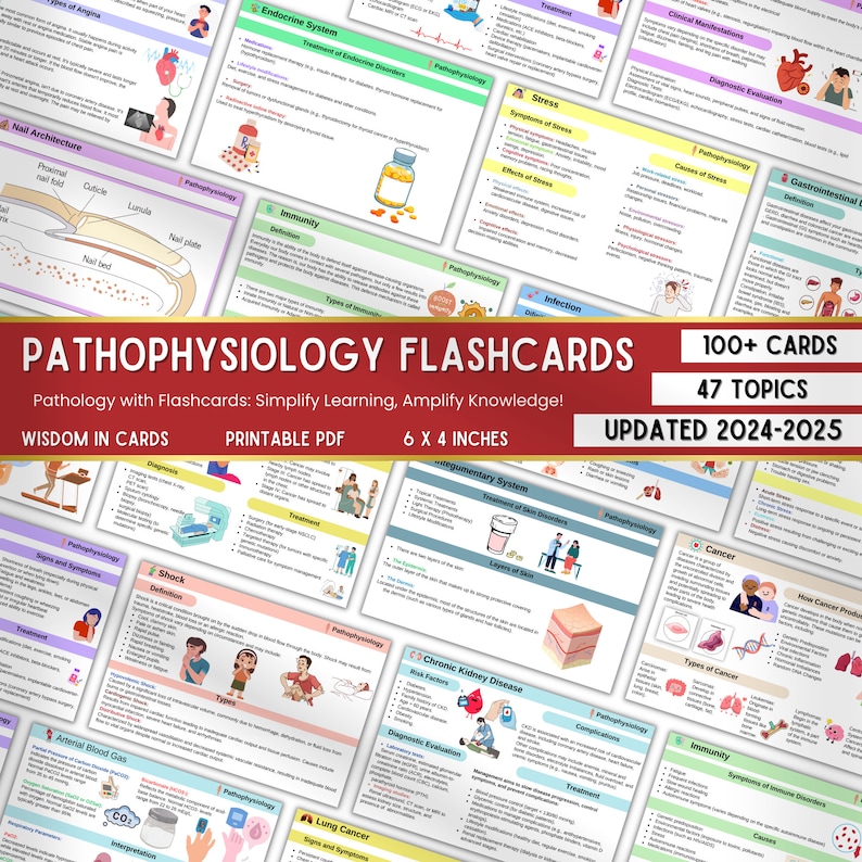 100+ Pathophysiology Flashcards | Pathophysiology Study Guide ...