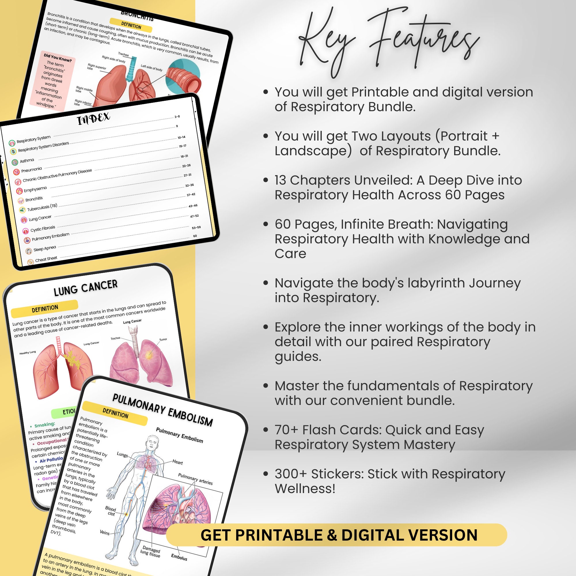 Respiratory System Disorders Notes 60 Pages | Respiratory Therapy ...