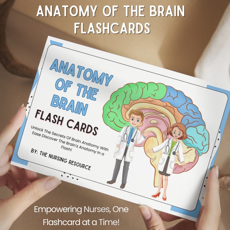 Anatomy of A Brain Flashcards | Brain Anatomy | Anatomy Notes | Nursing ...