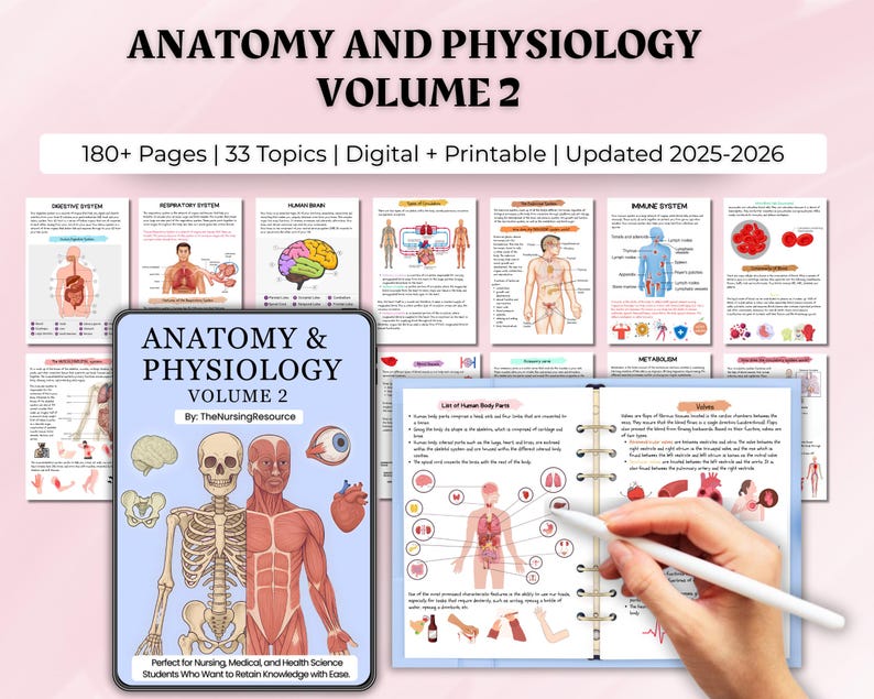 Anatomy and Physiology Notes Mega Bundle Vol 1 & 2 | Human Anatomy ...