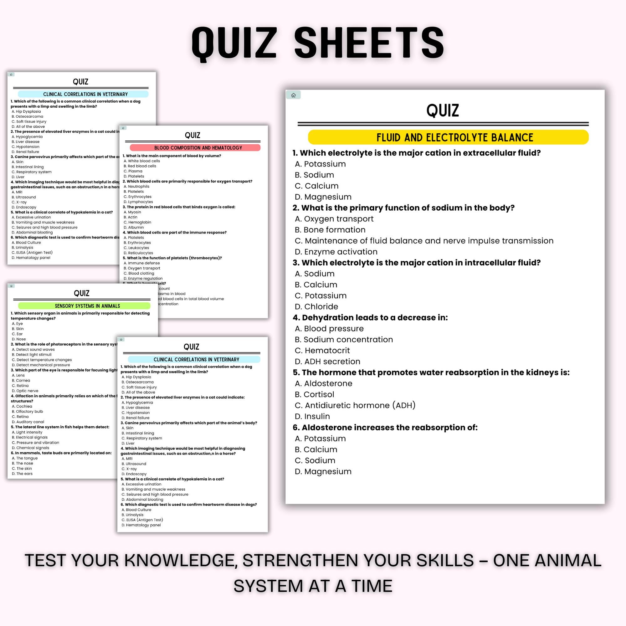 Veterinary Anatomy & Physiology Study Sheets | Veterinary Nurse ...