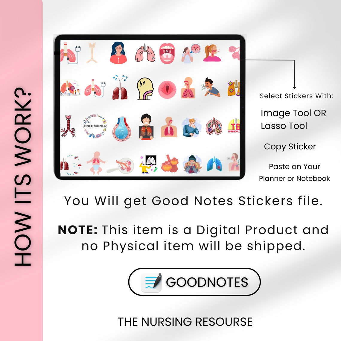 285+ Respiratory System Sticker Bundle | Goodnotes Stickers | Pre ...