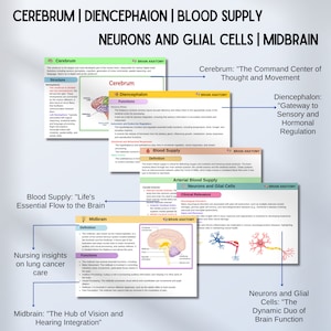 Anatomy of A Brain Flashcards | Brain Anatomy | Anatomy Notes | Nursing ...