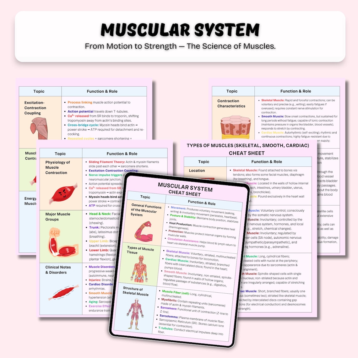 Anatomy and Physiology Cheat Sheet | Human Anatomy Study | Anatomy ...