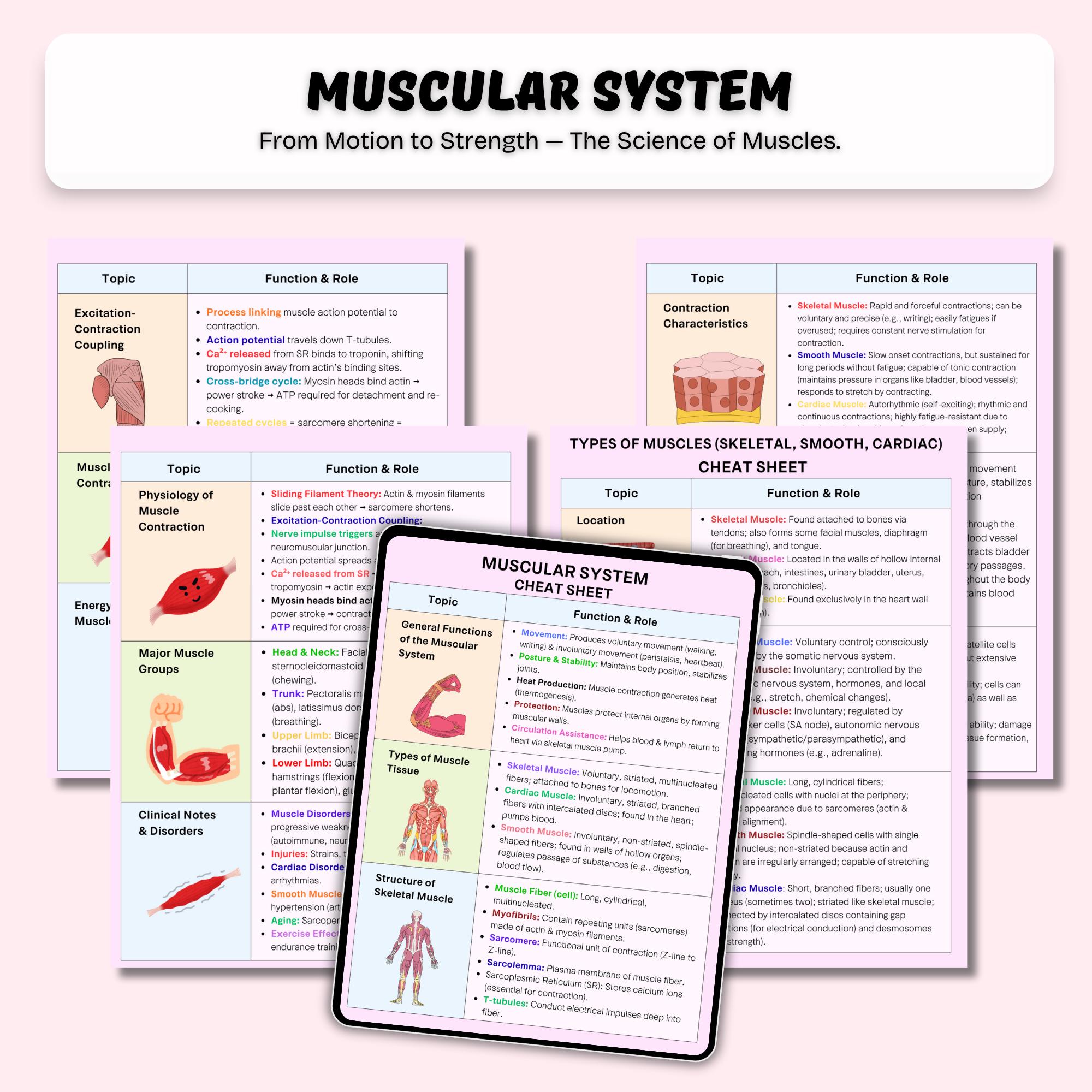 Anatomy and Physiology Cheat Sheet | Human Anatomy Study | Anatomy ...