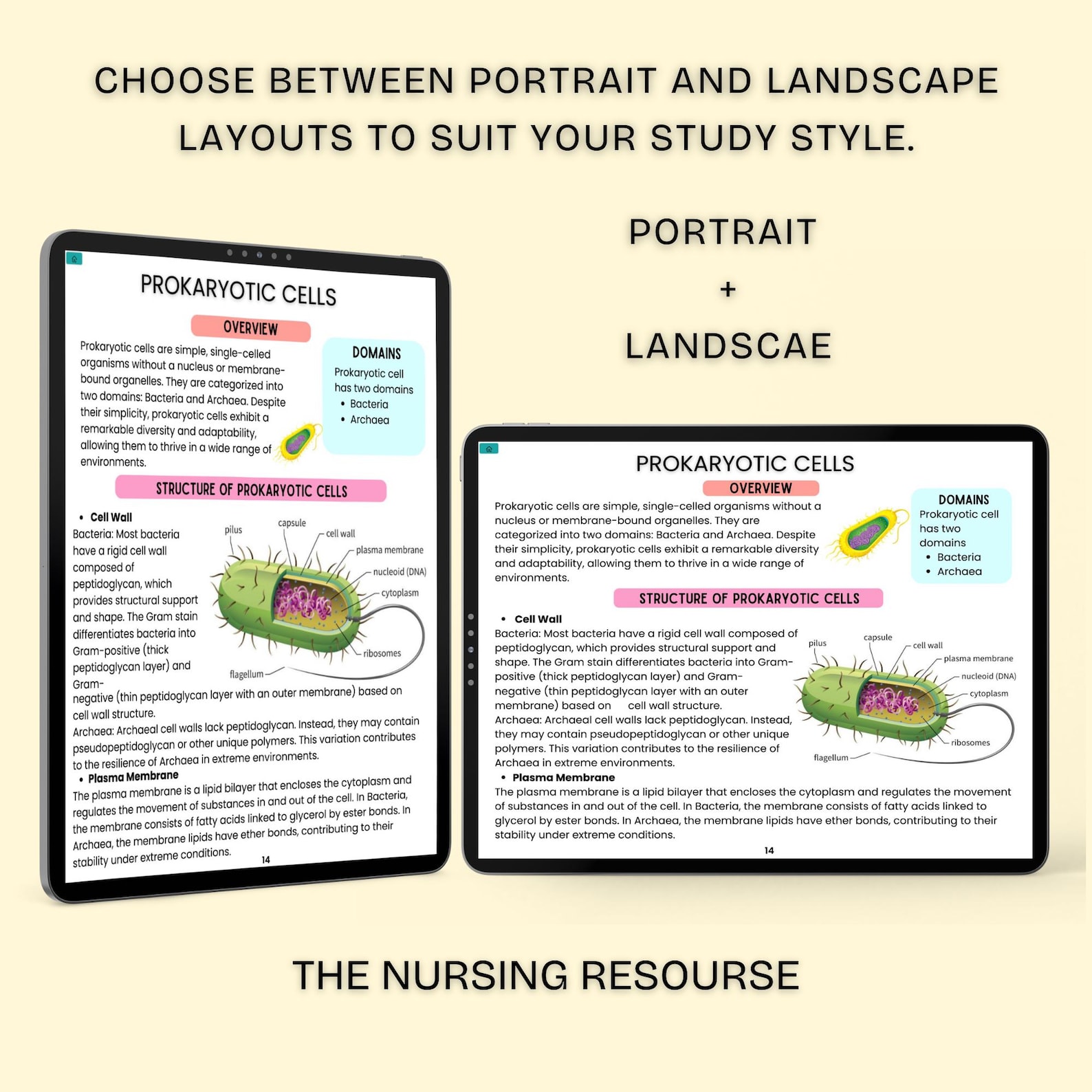 Microbiology Study Guide | Fully Hyperlinked With Flashcards and ...