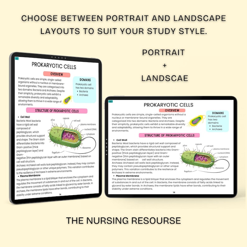 Microbiology Study Guide | Fully Hyperlinked With Flashcards and ...