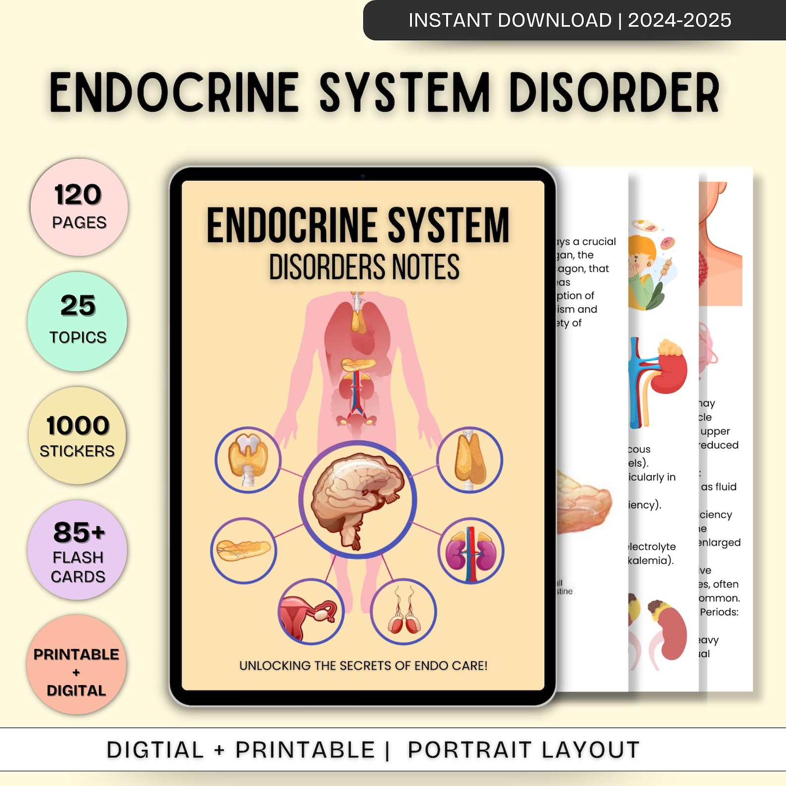 Endocrine Notes | Endocrine System Disorders | Nursing Bundle | PDF - Etsy