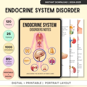 Endocrine Notes | Endocrine System Disorders | Nursing Bundle | PDF - Etsy