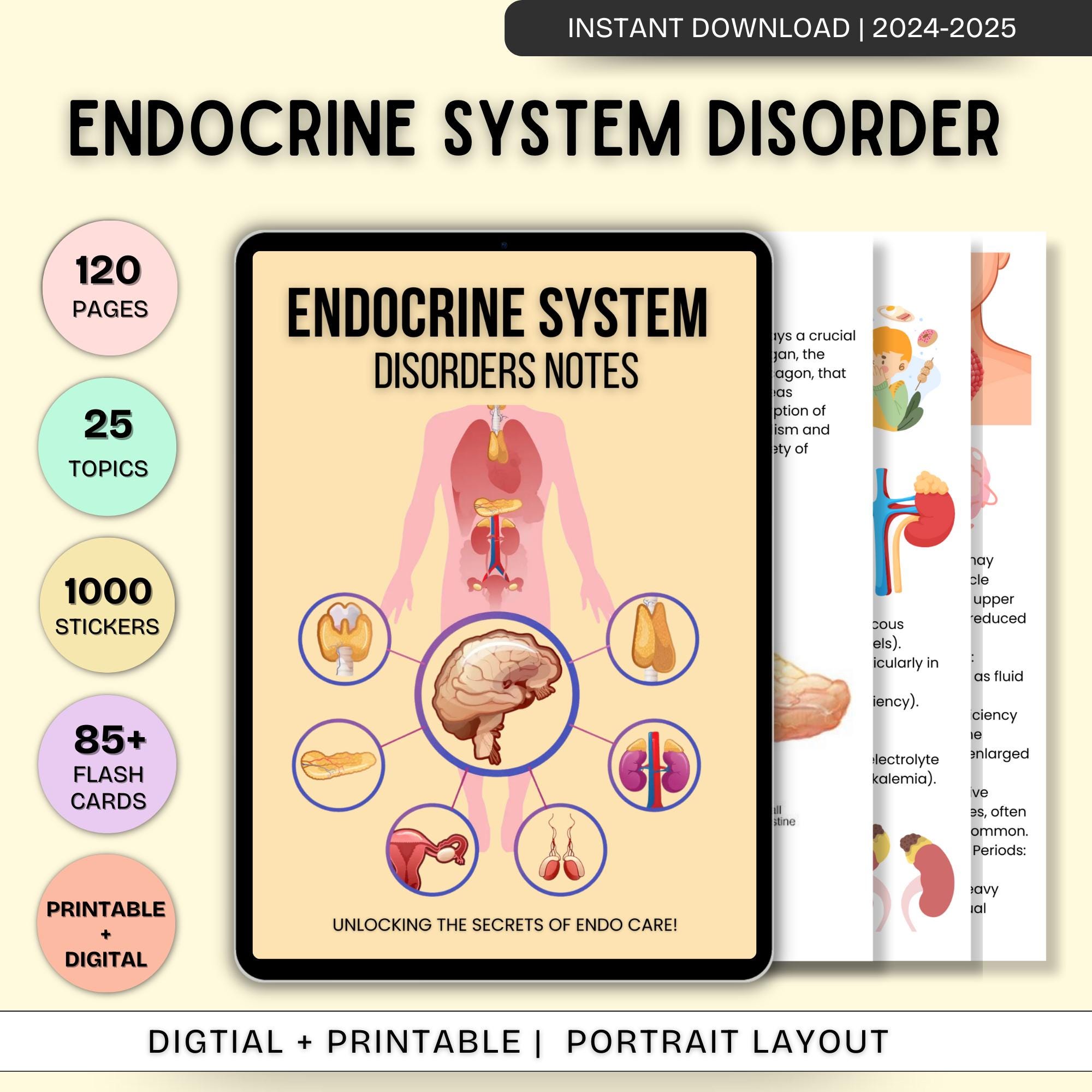 Endocrine Notes | Endocrine System Disorders | Nursing Bundle | PDF - Etsy