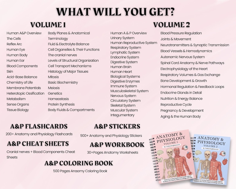 Anatomy and Physiology Notes Mega Bundle Vol 1 & 2 | Human Anatomy ...