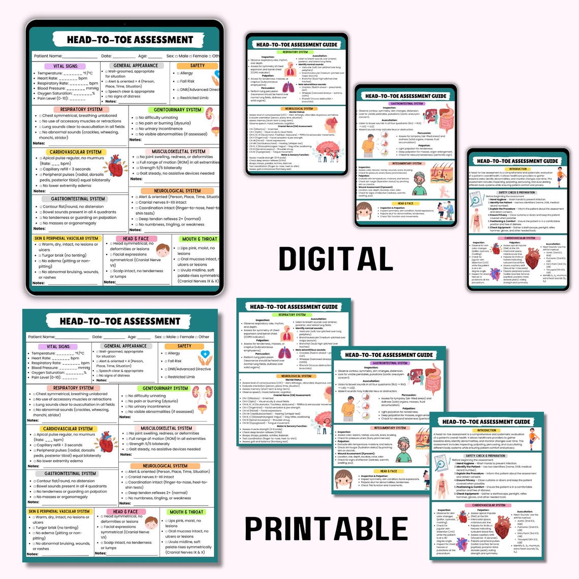 Nursing Head-to-toe Assessment Guide | Assessment Checklist | Head to ...