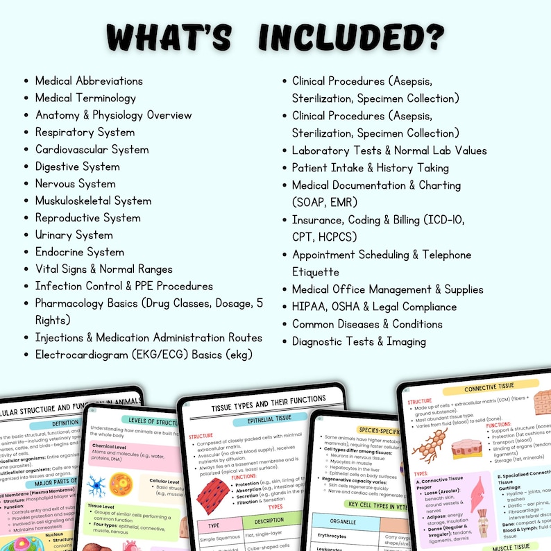 Medical Assistant Notes & Cheat Sheet Bundle | Nursing Notes | Digital ...