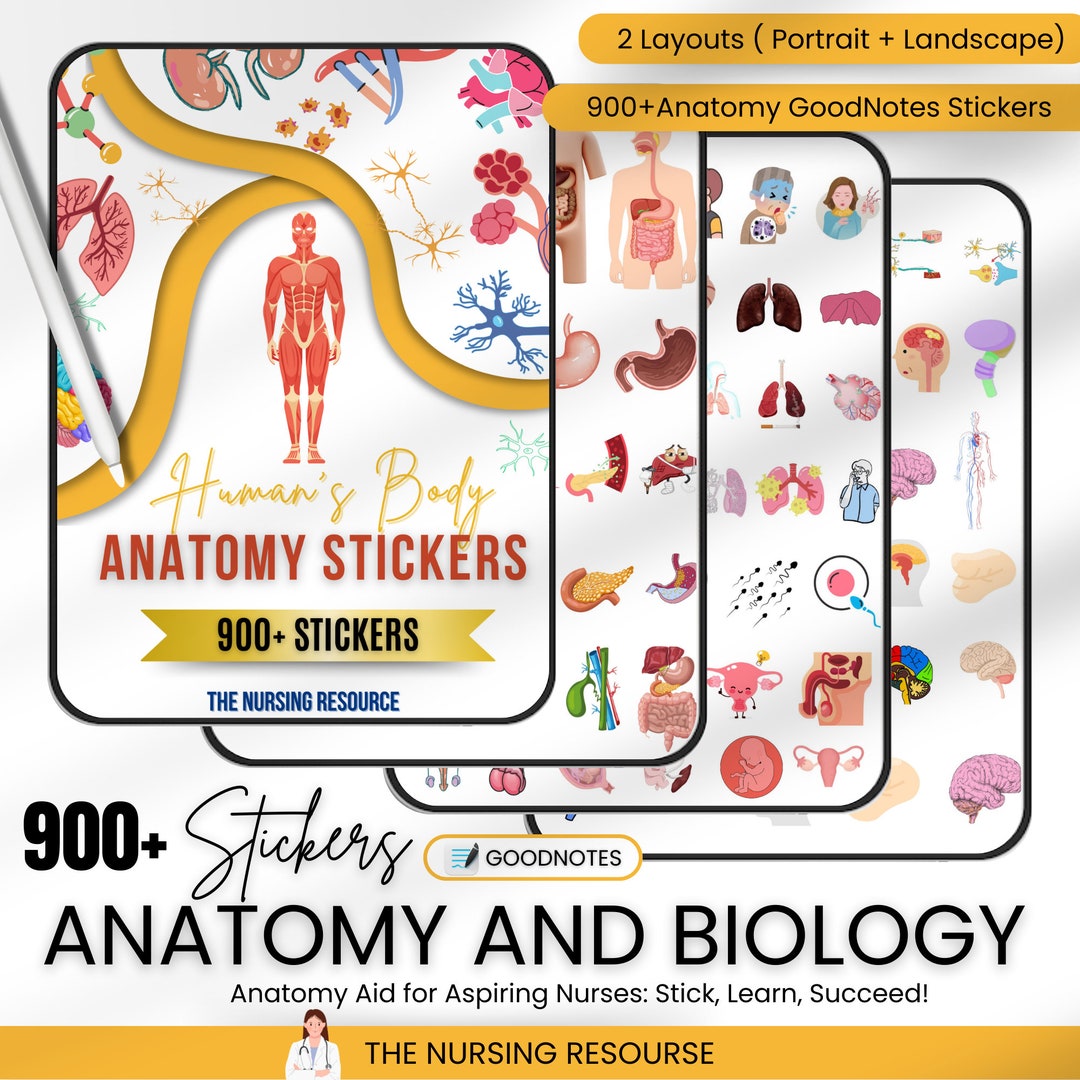 900+ Anatomy & Biology Stickers Bundle | Anatomy Stickers | Goodnotes ...