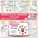 Anatomy of A Brain Flashcards | Brain Anatomy | Anatomy Notes | Nursing ...