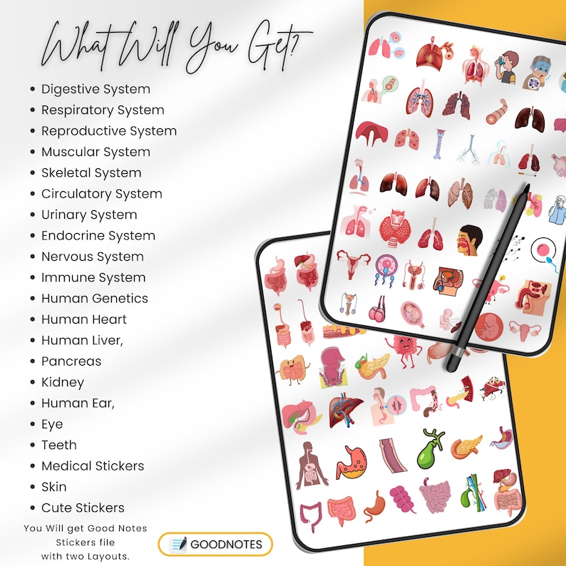 900+ Anatomy & Biology Stickers Bundle | Anatomy Stickers | Goodnotes ...