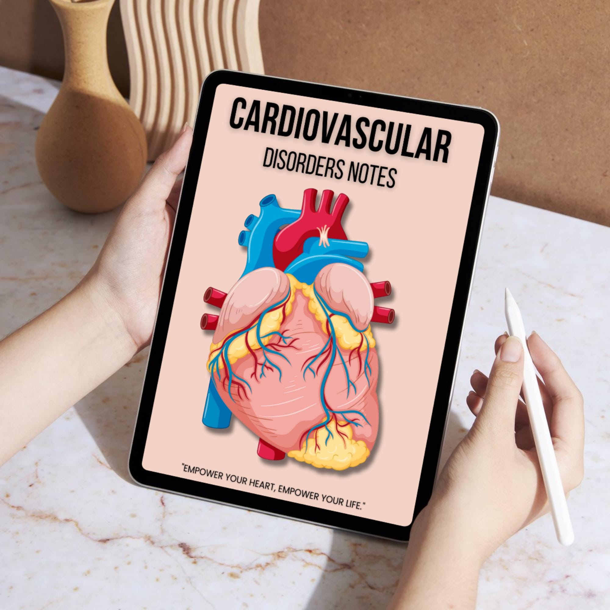 Cardiovascular System Notes | Cardiology Study Guide | Heart Anatomy ...