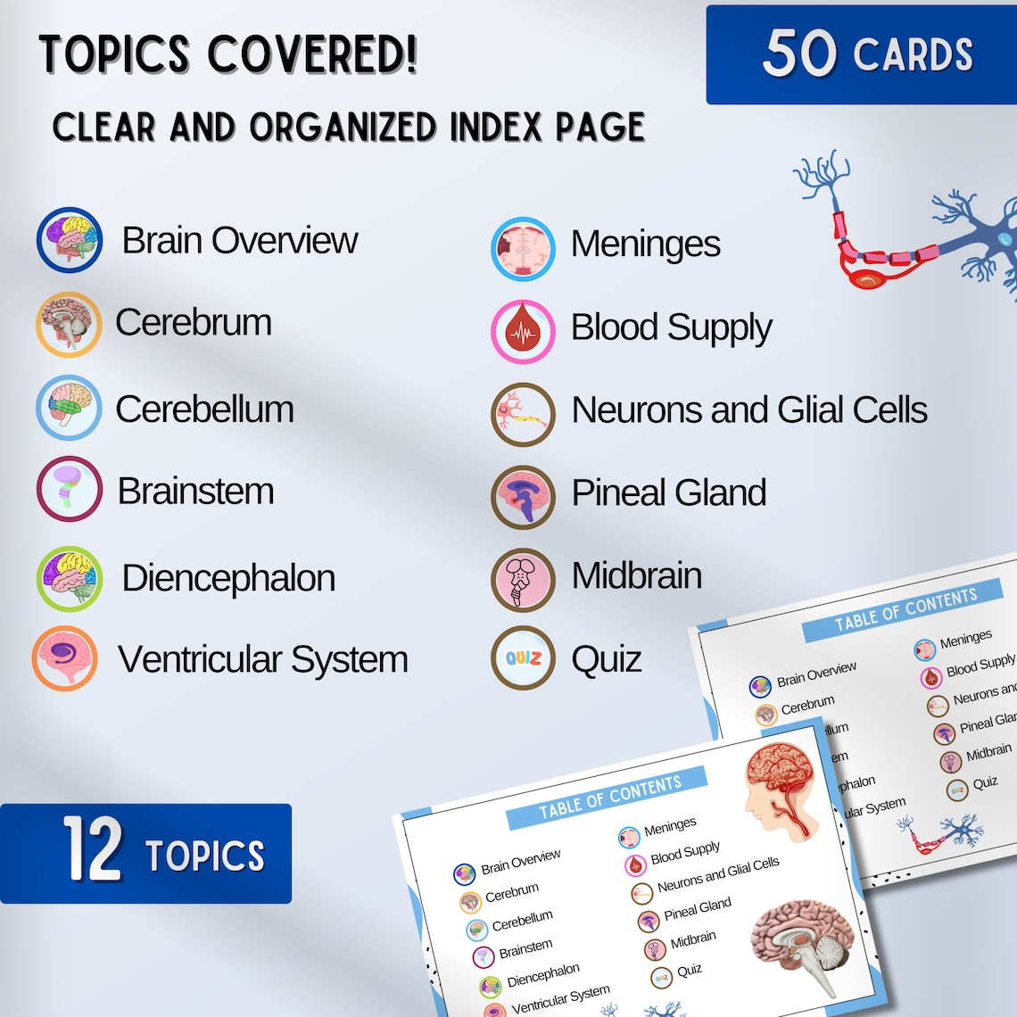 Anatomy of A Brain Flashcards Brain Anatomy Anatomy Notes Nursing Notes ...