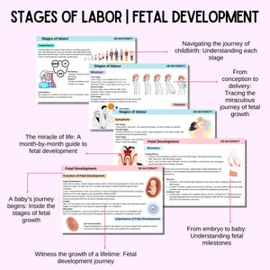 OB Maternity Flashcards, OB Nursing Study Guide, Labor and Delivery ...