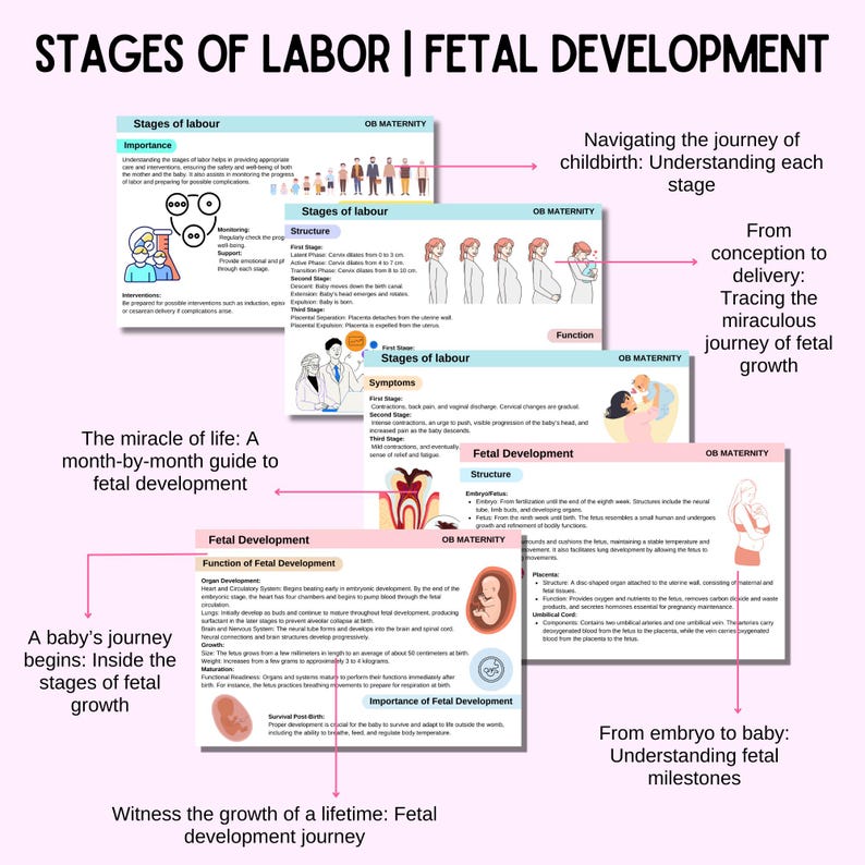 OB Maternity Flashcards, OB Nursing Study Guide, Labor and Delivery ...