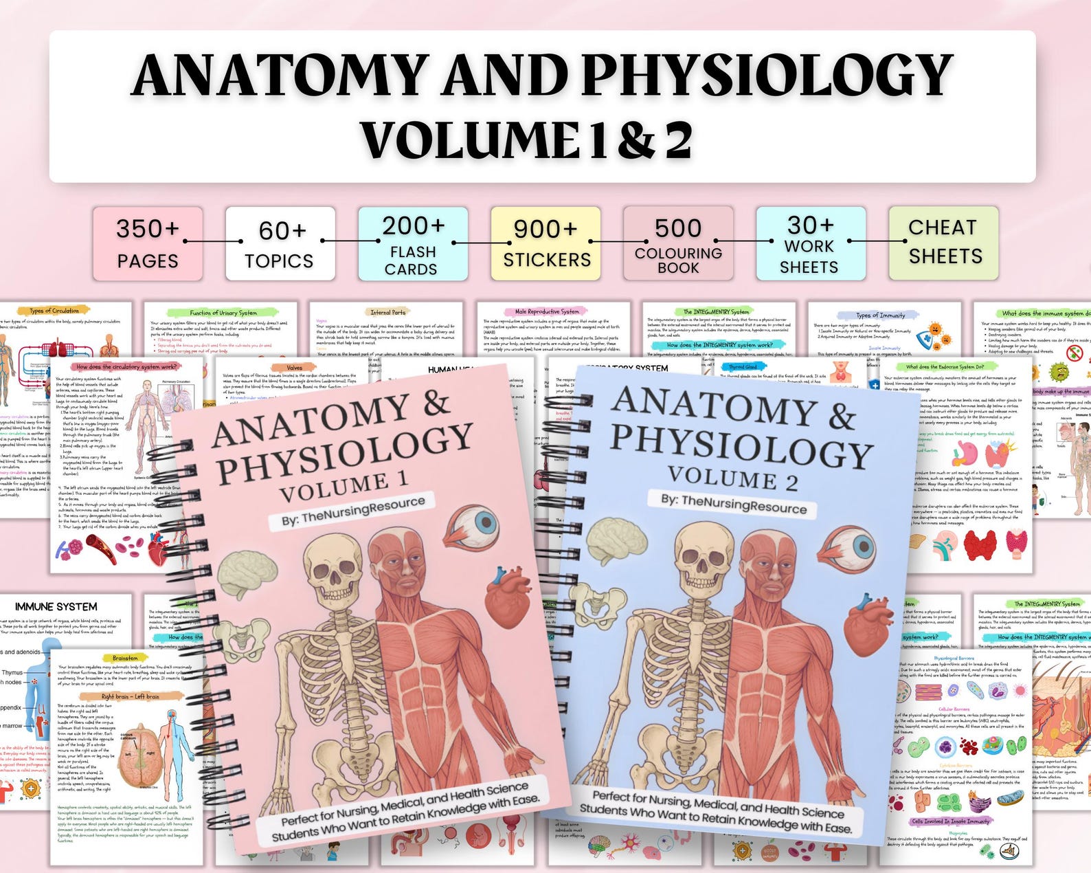 Anatomy and Physiology Notes Mega Bundle Vol 1 & 2 | Human Anatomy ...