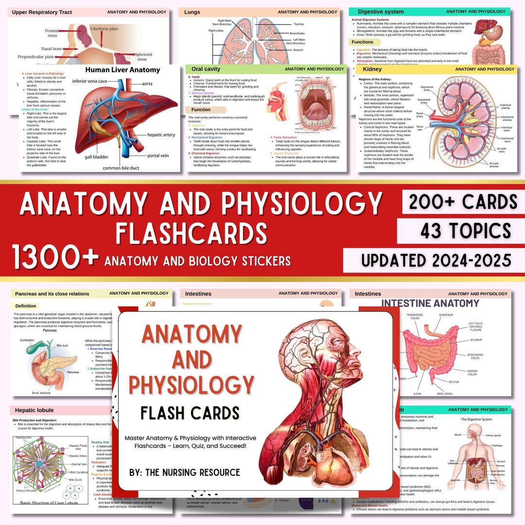 200+ Anatomy and Physiology Flashcards With Goodnotes Stickers ...