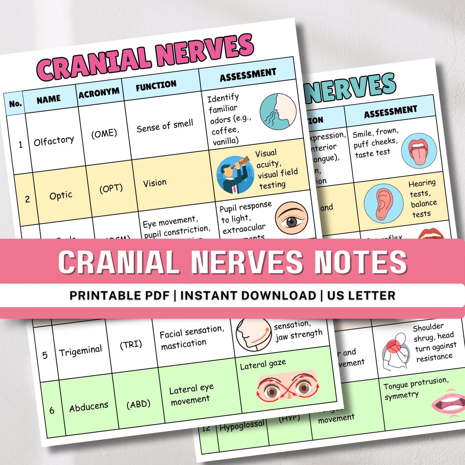 Cranial Nerves Notes | Nursing Student | Study Guide | Nurse Cheat ...