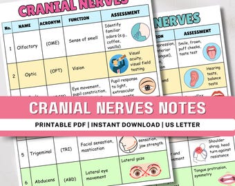Nursing School | Cranial Nerves Cheat Sheet - Etsy UK