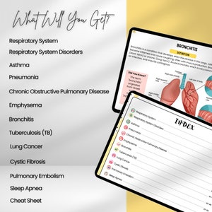 Respiratory Therapy Notes | Respiratory System Disorders Bundle ...