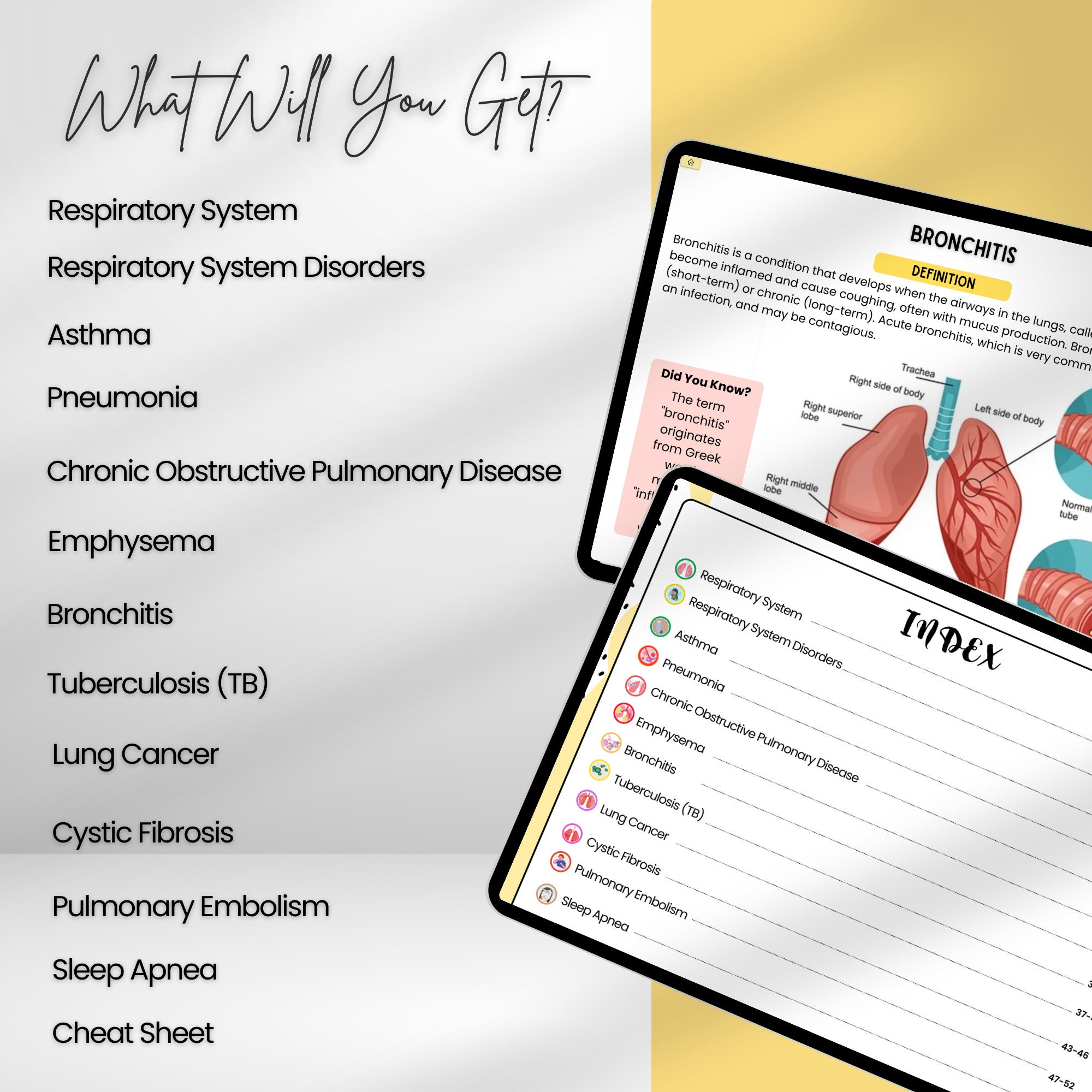 Respiratory Therapy Notes | Respiratory System Disorders Bundle ...